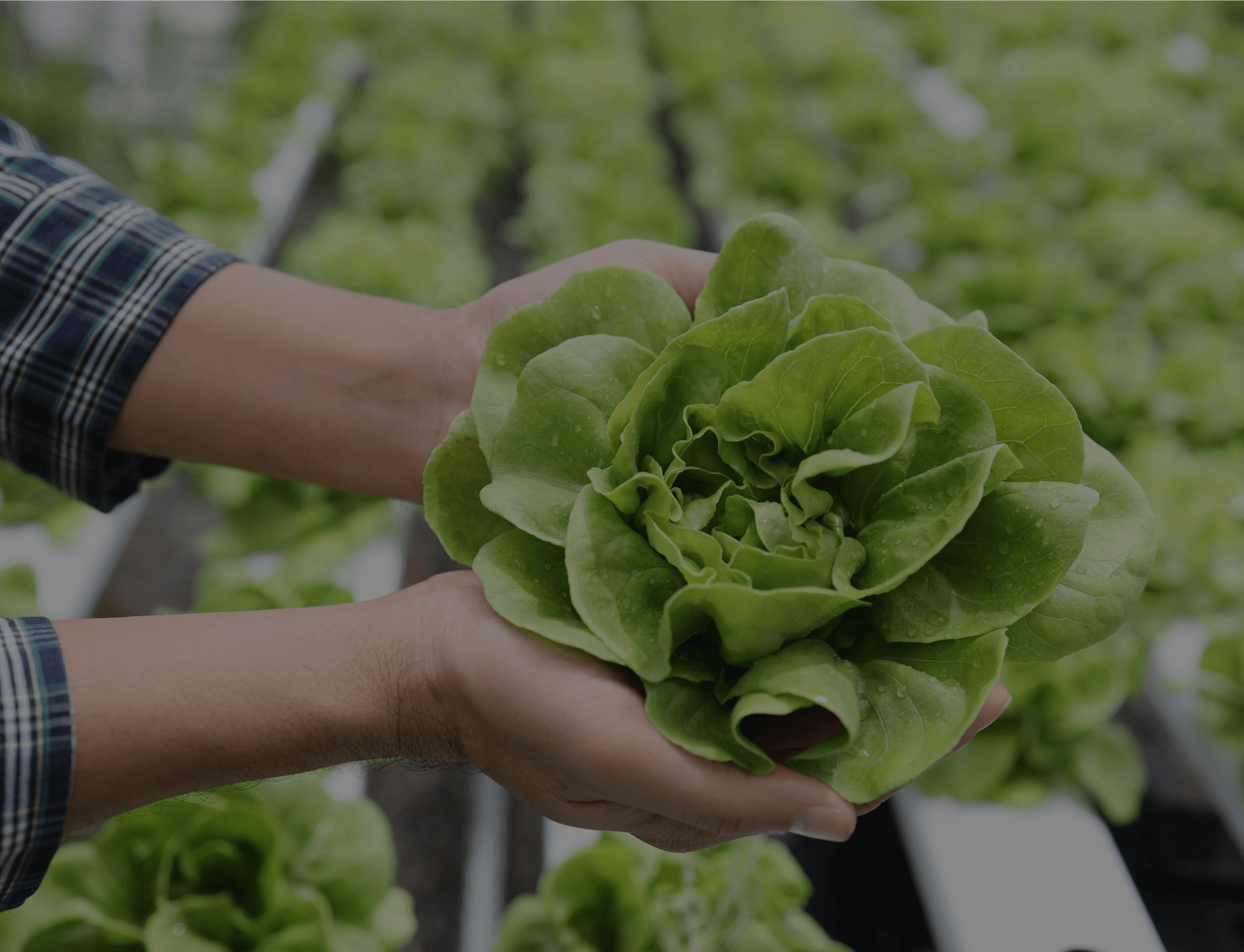 Contact Us – Farm8