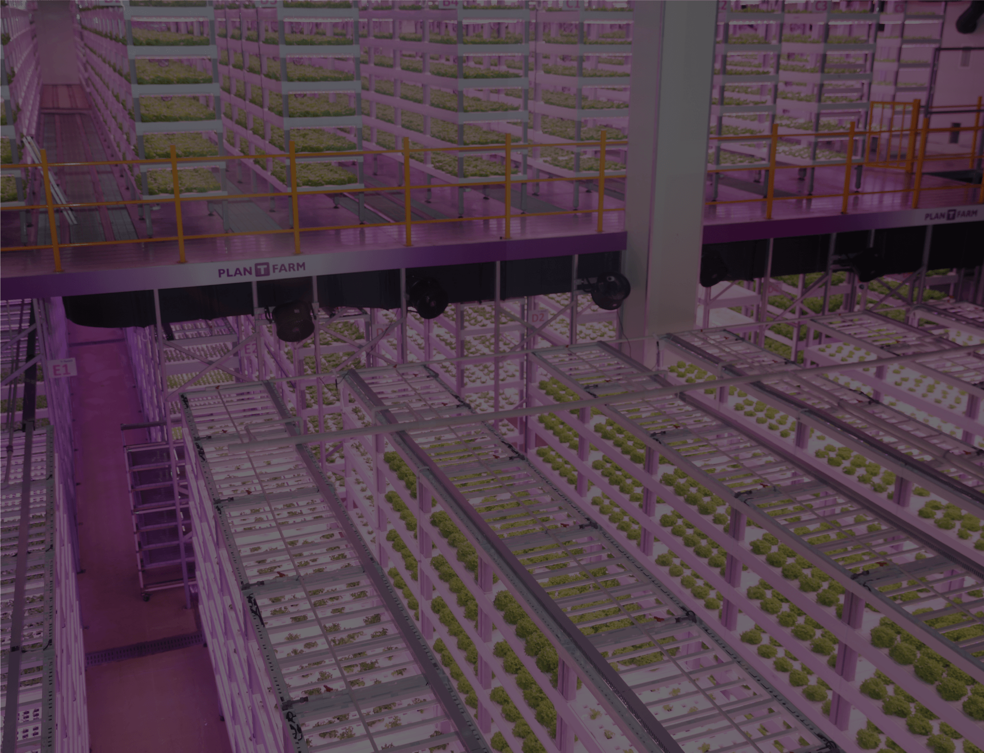 Brand Story – Farm8